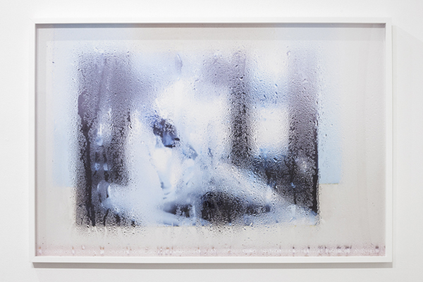 INSTALLATION: VANESSA MALTESE, BARB CHOIT