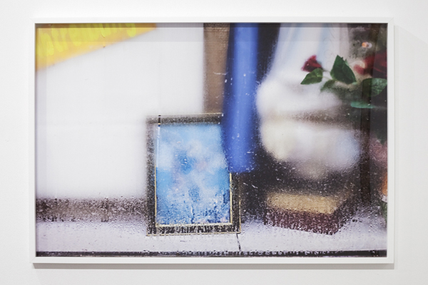 INSTALLATION: VANESSA MALTESE, BARB CHOIT