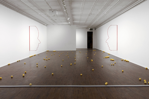 INSTALLATION: VANESSA MALTESE, BARB CHOIT