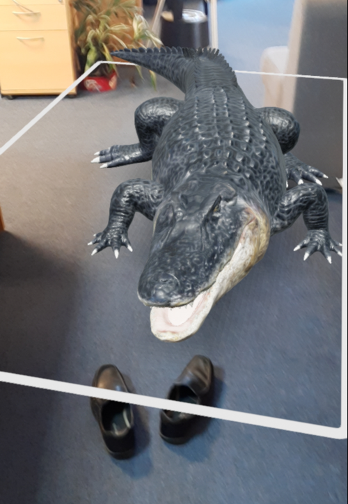 For [CONTACT] Emergency Alerts being tested. How to view an alligator ...