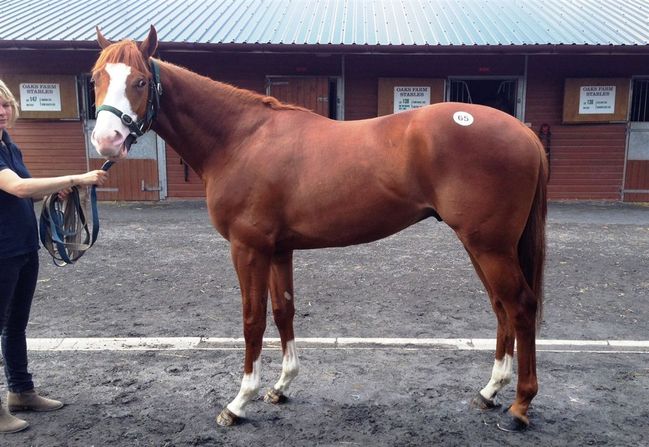 Key Racing News - Exciting Opportunity