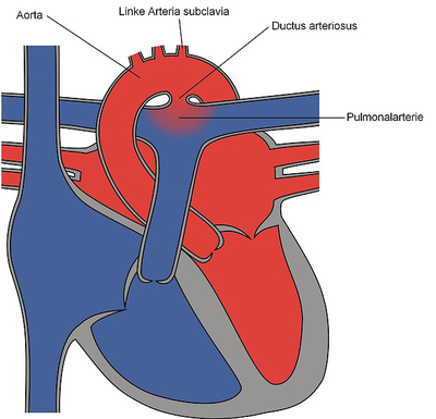 Nieuwsbrief #58 (25 juli 2019)