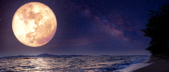 Nieuwsbrief JANUARI De Blauwe Maan ENSCHEDE